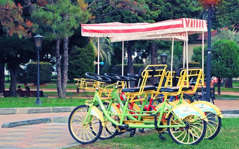 Best Attractions and Things to Do in Batumi