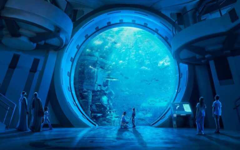 Guide to Things to Do in SeaWorld Abu Dhabi